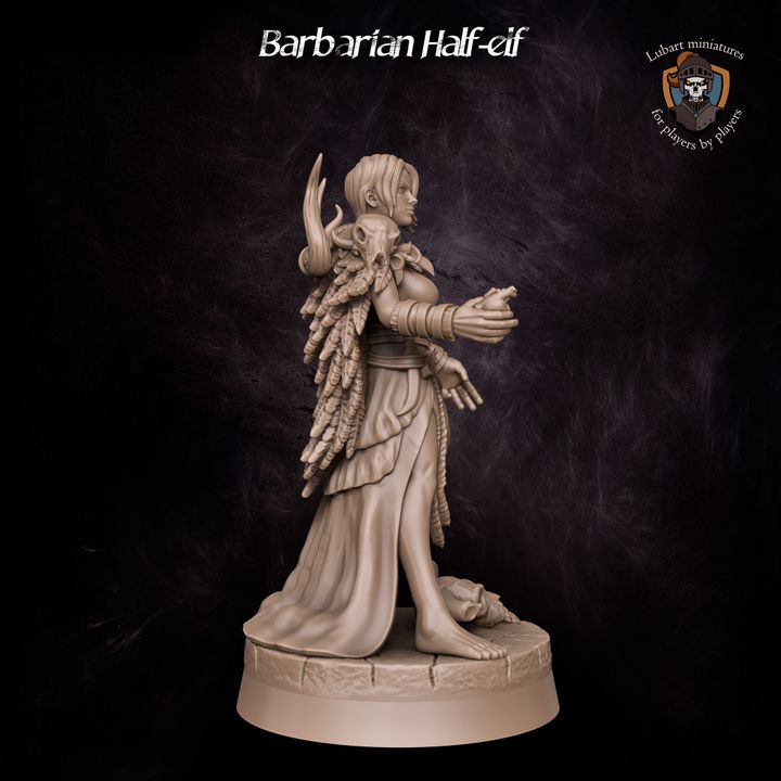 3D Printable Barbarian Half-elf by Lubart Miniatures